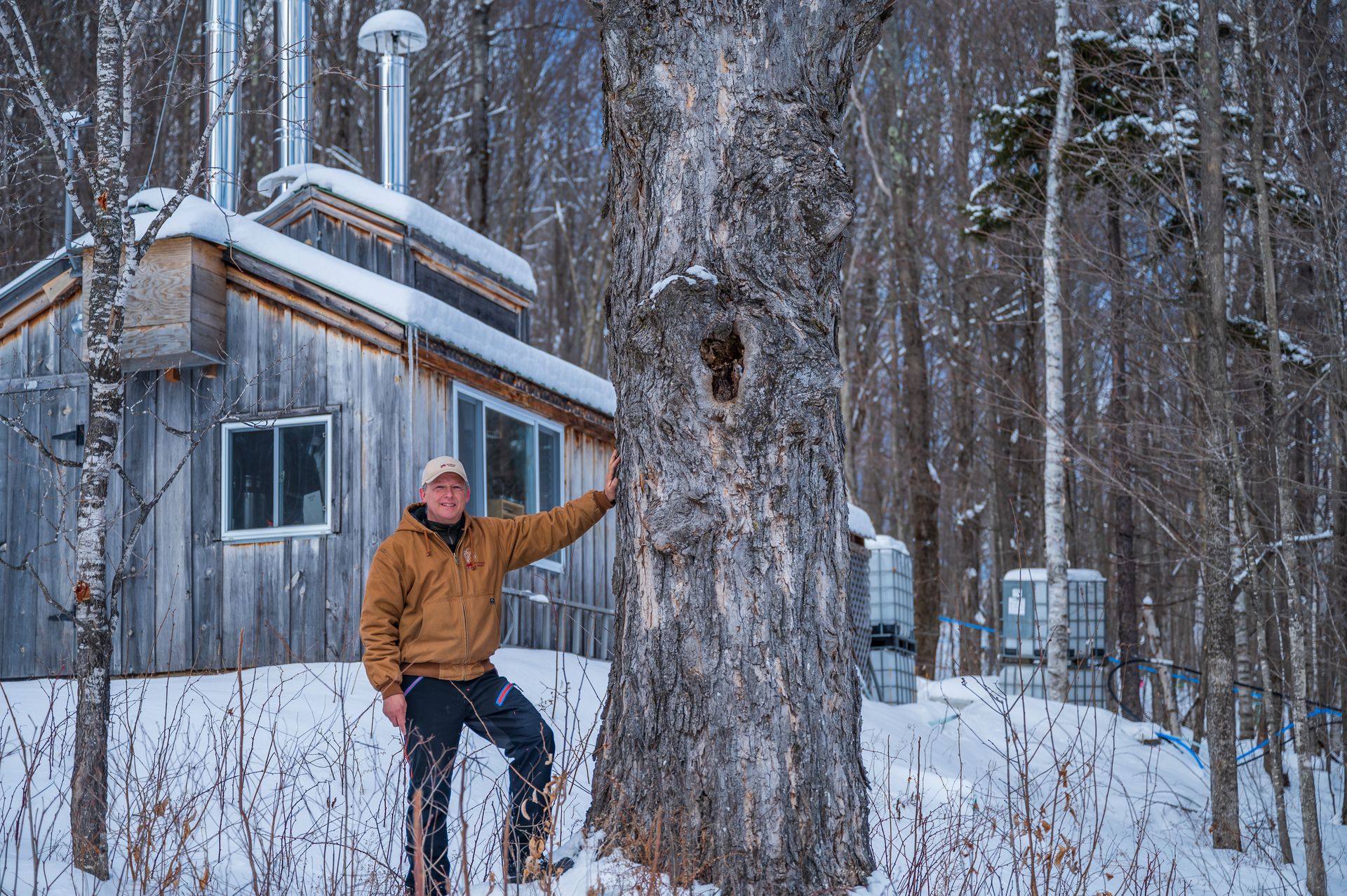 Vermont Maple - award winning, wood-fired maple syrup
